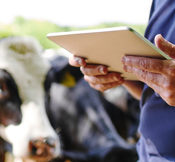 UK Building Services Consultants & Surveyors | Fisher German